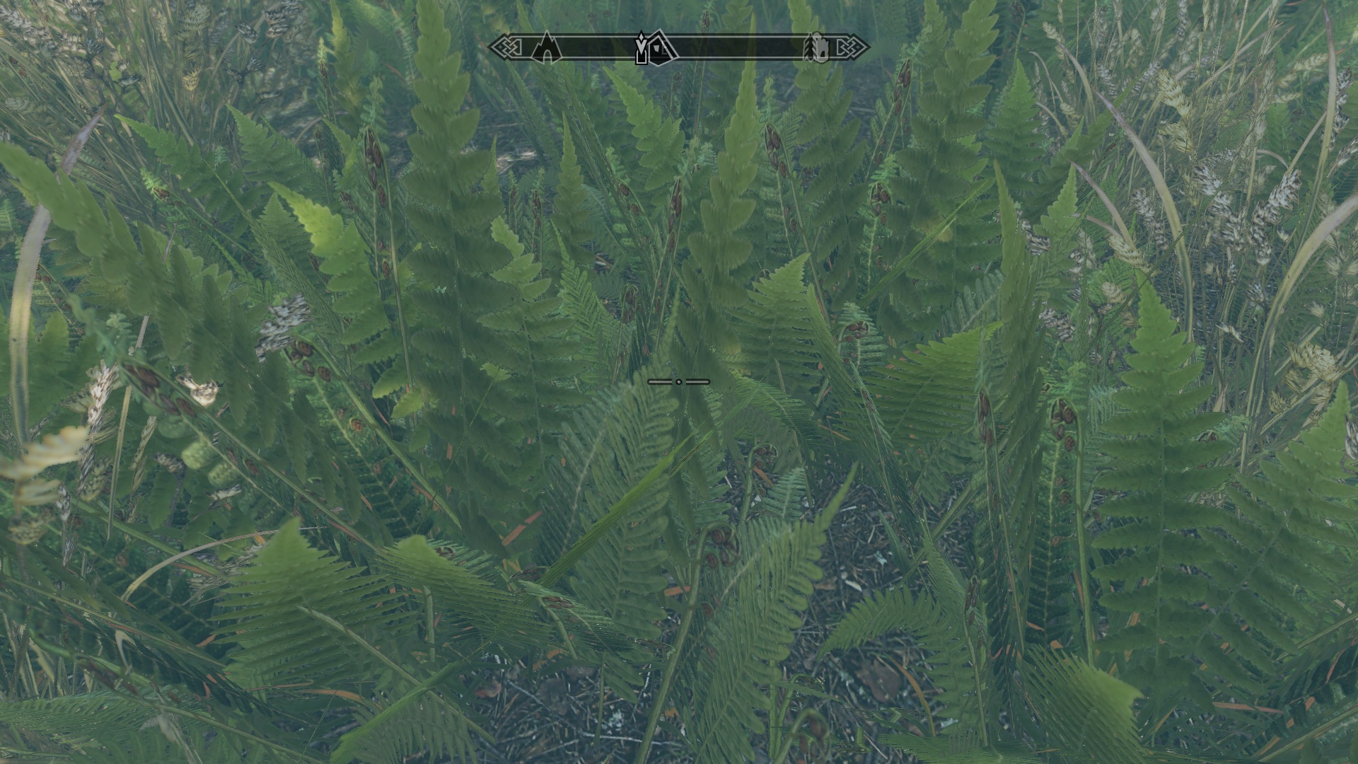 吸收poloenb优点，LoveHDuff ENB新变化 - 《上古卷轴5：天际》历史资源区 - 3DMGAME论坛 - Powered by ...