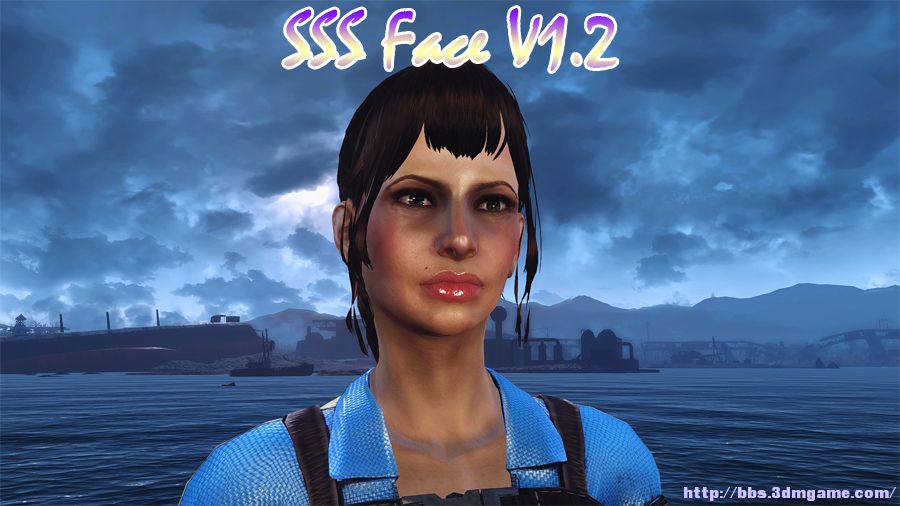 Silky Smooth Skin (SSS) v2.2 纹理+脸部+油光+3套可选美化 - 《辐射4》 - 3DMGAME论坛 ...
